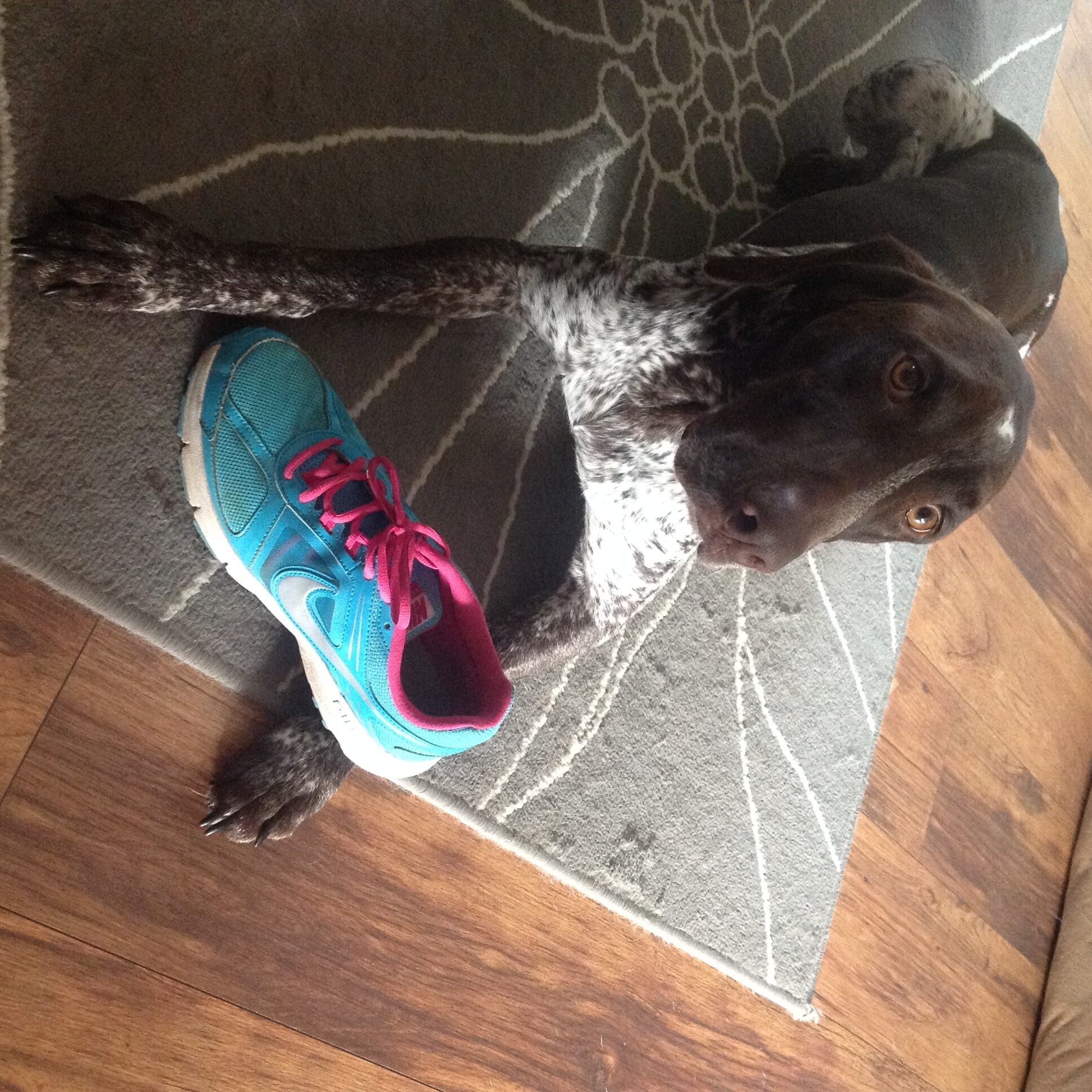 Left Handed Sewing | Things to Consider - The Sewing Loft